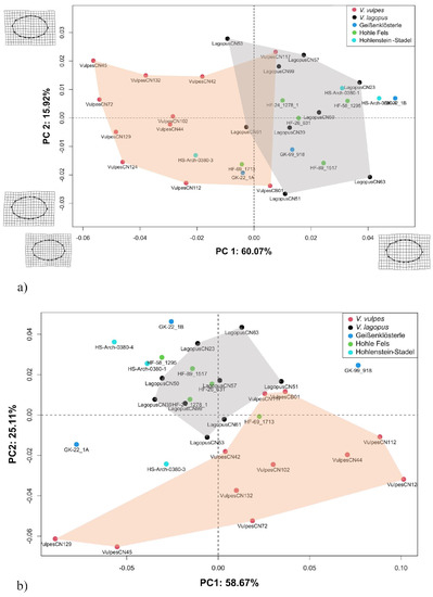 Quaternary | Free Full-Text | Foxes in Retrospect—Unraveling Human-Fox ...