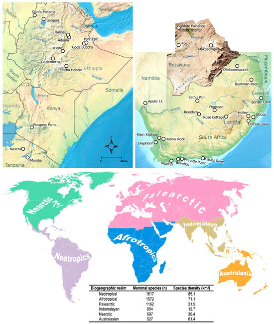 The Evolution of Long-Range Hunting with Stone-Tipped Weapons During ...