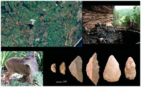 The Evolution of Long-Range Hunting with Stone-Tipped Weapons During ...