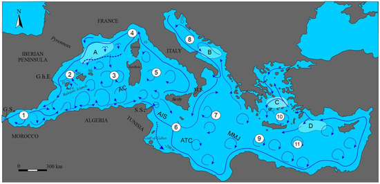 Upper Pleistocene Marine Levels of the Es Copinar–Es Estufadors ...