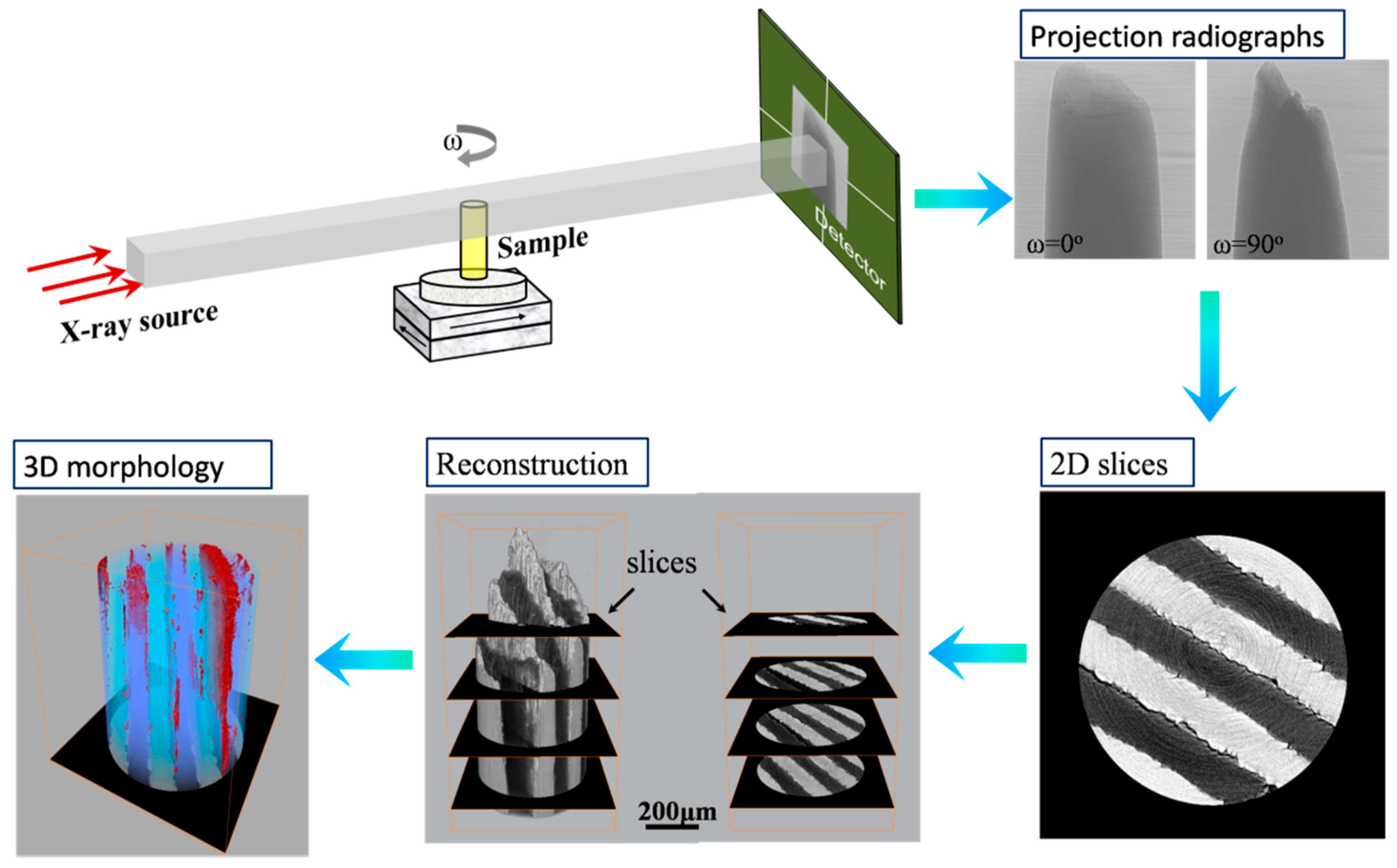 3d Visualized Characterization Of Fracture Behavior Of Structural