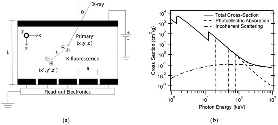 Recent Progress In The Development Of A Se Cmos Sensors For X Ray Detection
