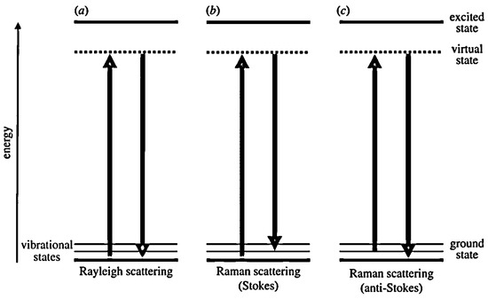 Overall Review on Recent Applications of Raman Spectroscopy Technique ...