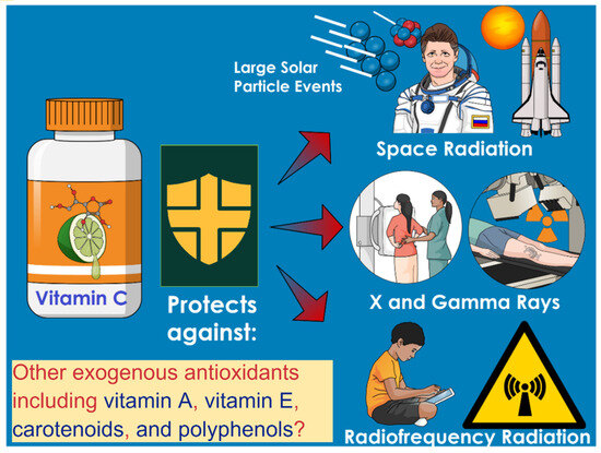Cultivation of Vitamin C-Rich Vegetables for Space-Radiation Mitigation