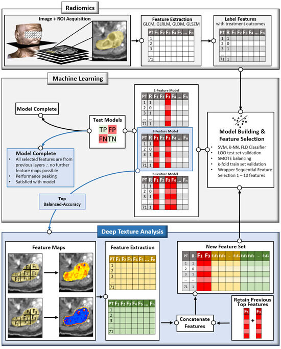 Deep Texture Analysis Enhanced MRI Radiomics for Predicting Head and ...