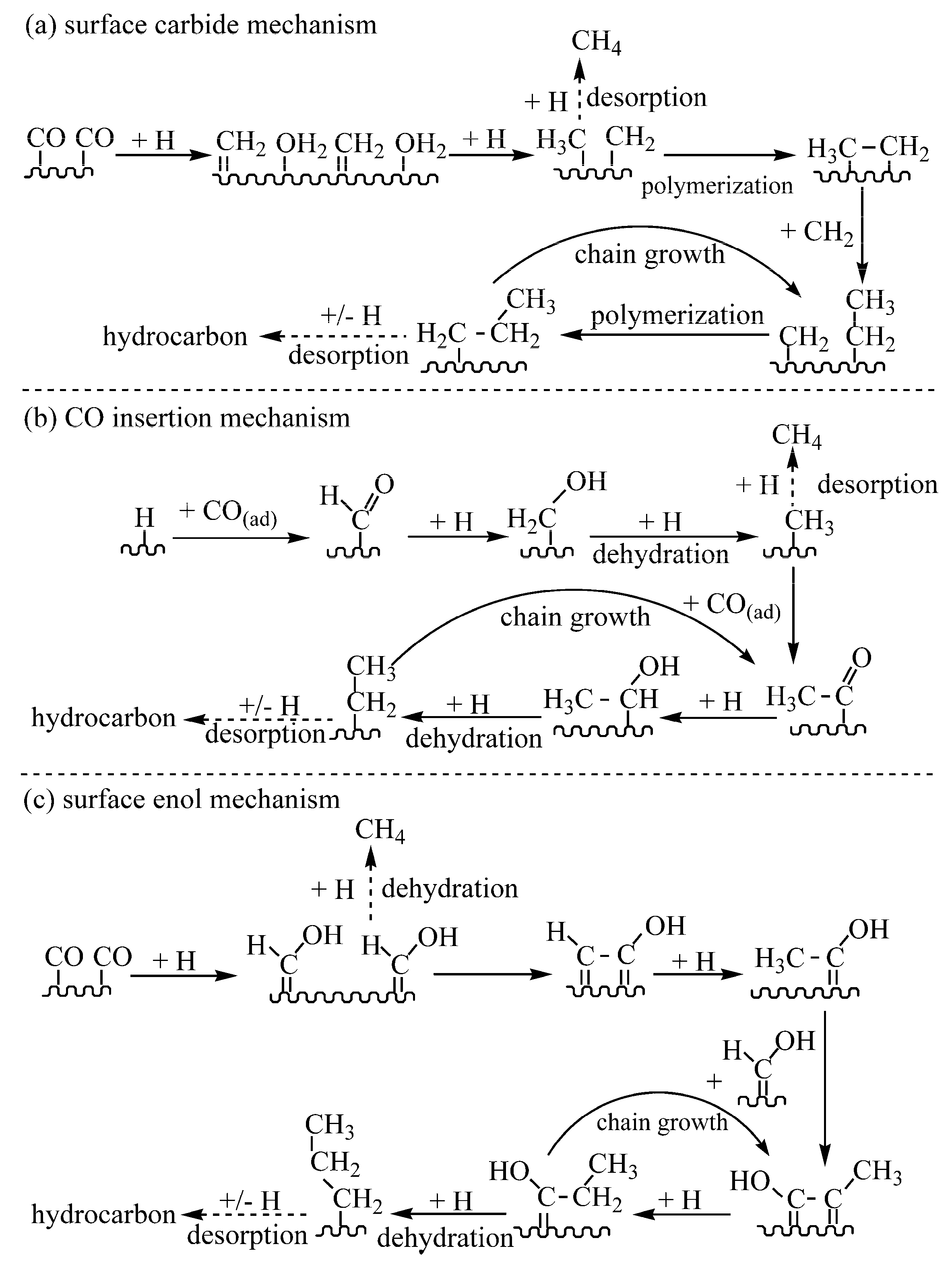 Chain Propagation Mechanism of Fischer–Tropsch Synthesis: Experimental ...