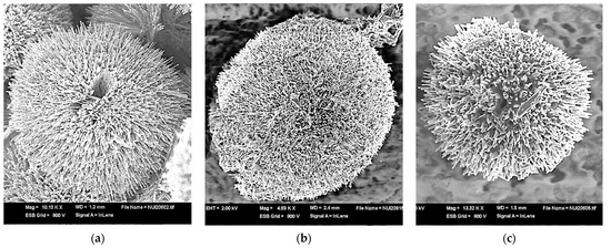 Hydrothermal Synthesis of Vanadium Oxide Microstructures with Mixed ...