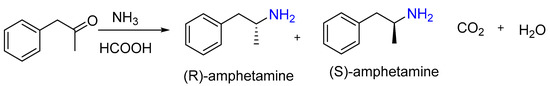 A Brief Review: Advancement in the Synthesis of Amine through the ...