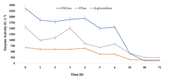 Immobilization of Cellulolytic Enzymes in Accurel® MP1000