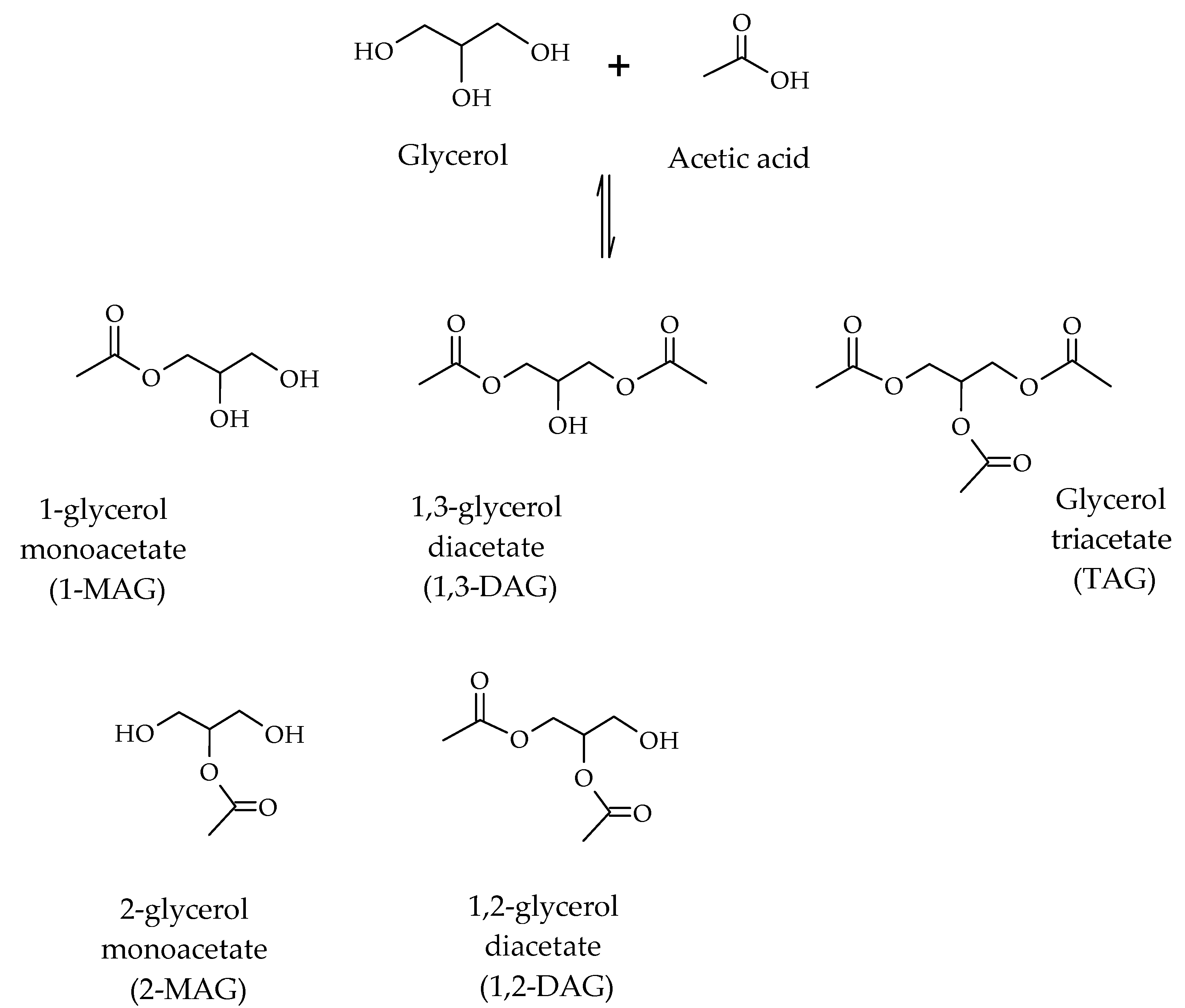 Reversible Equation For The Esterification And Hydrolysis Of Glyceryl ...