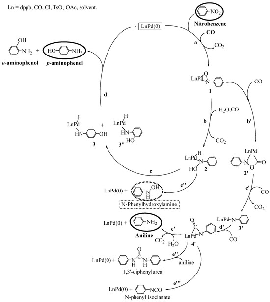 A New Pd-Based Catalytic System for the Reductive Carbonylation of ...