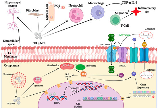 Photocatalytic TiO2-Based Nanostructures as a Promising Material for ...