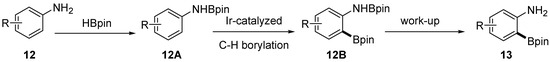 Ir-Catalyzed ortho-C-H Borylation of Aromatic C(sp2)-H Bonds of ...