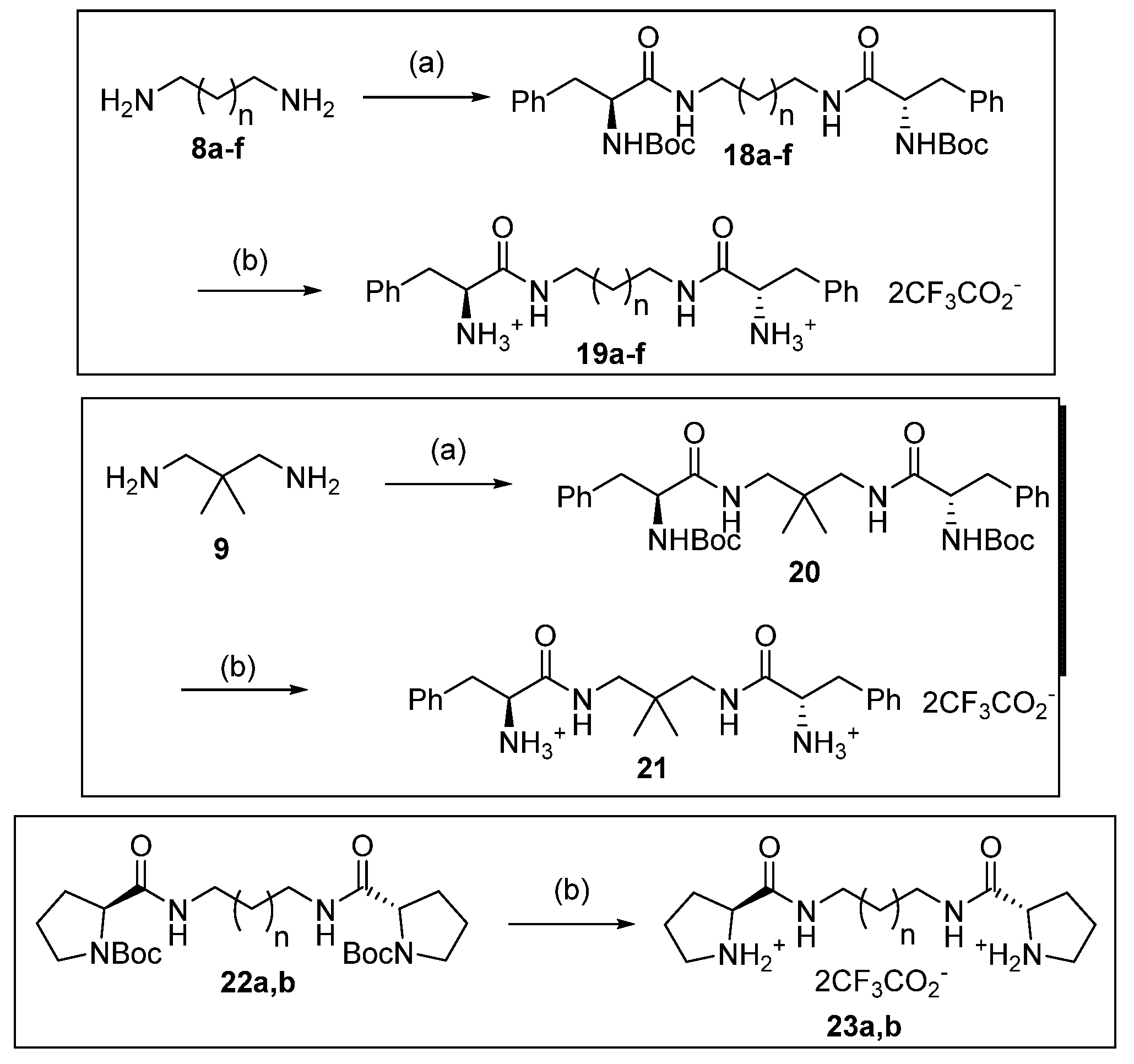 C2-Symmetric Amino Acid Amide-Derived Organocatalysts