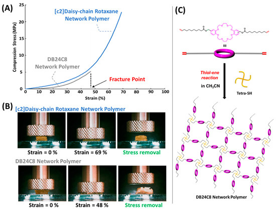 One-Pot Syntheses of [c2]Daisy-Chain Rotaxane Networks via Thiol-Ene ...