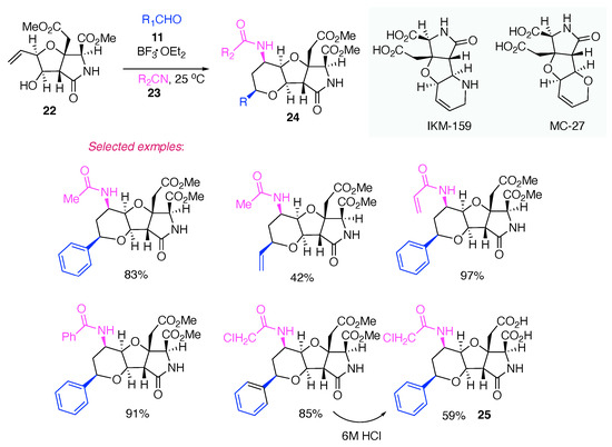Advancements in Carbohydrate Scaffold Synthesis: Exploring Prins ...
