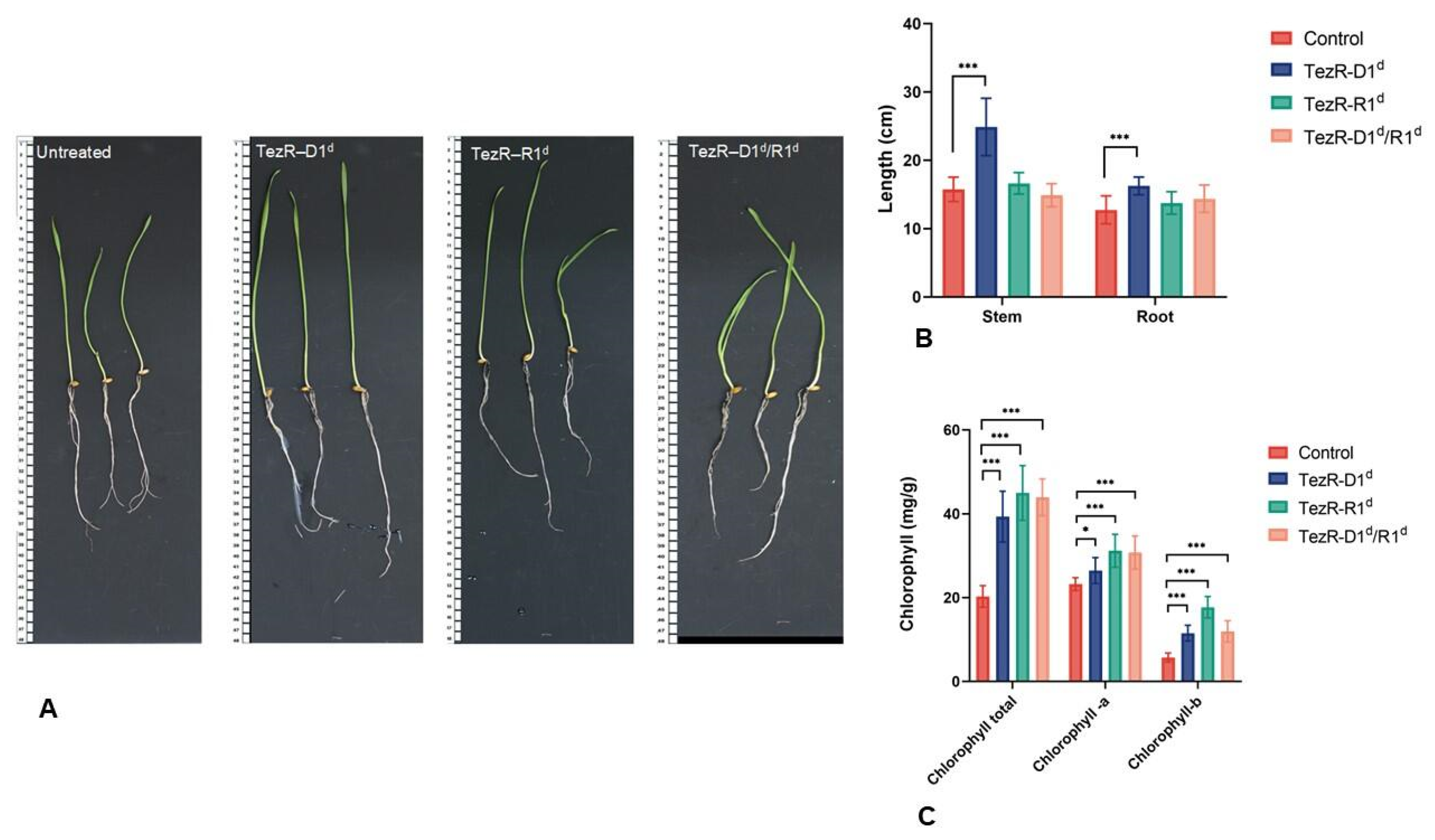 Novel Cell Receptor System of Eukaryotes Formed by Previously Unknown ...
