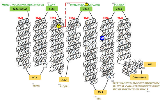 Receptors | An Open Access Journal from MDPI