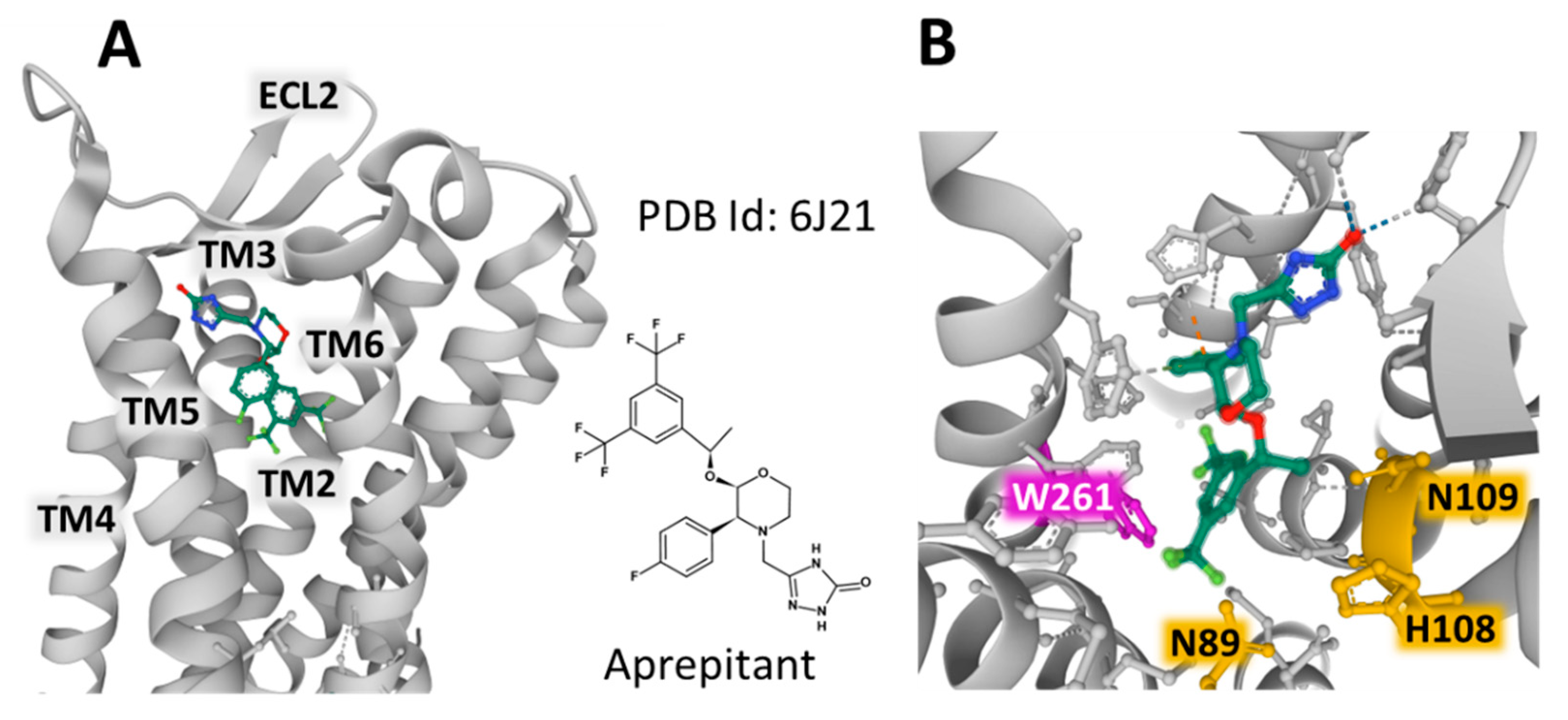 The Neurokinin-1 Receptor: A Promising Antitumor Target