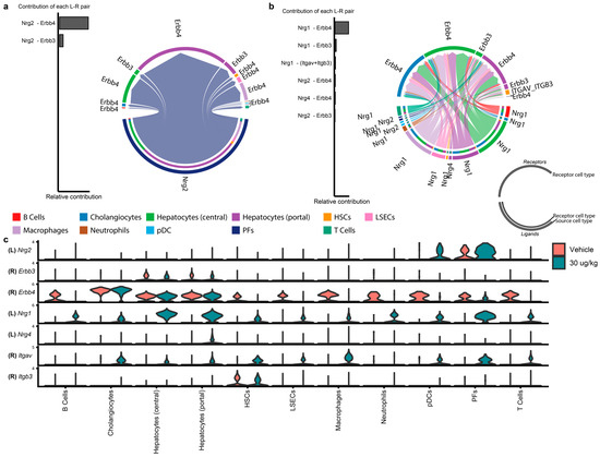 Analysis of Cell–Cell Communication by Single-Nuclei RNA Sequencing ...