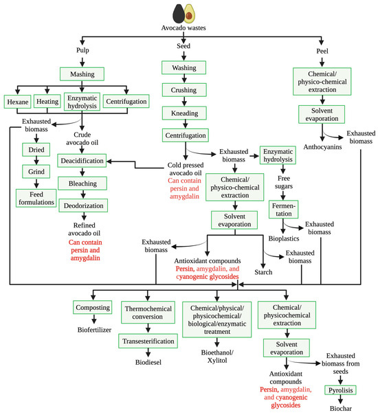 Avocado Waste Biorefinery: Towards Sustainable Development