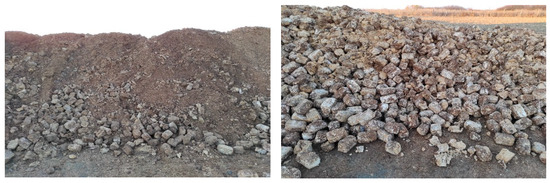 Valorization of Spent Mushroom Substrate: Establishing the Foundation ...