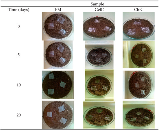 Biodegradation Studies of Biobased Mulch Films Reinforced with ...