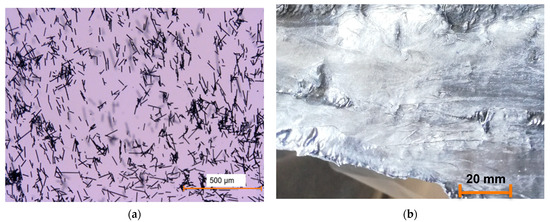 Preparation of Polypropylene Composites with Pyrolyzed Carbon Fibers ...
