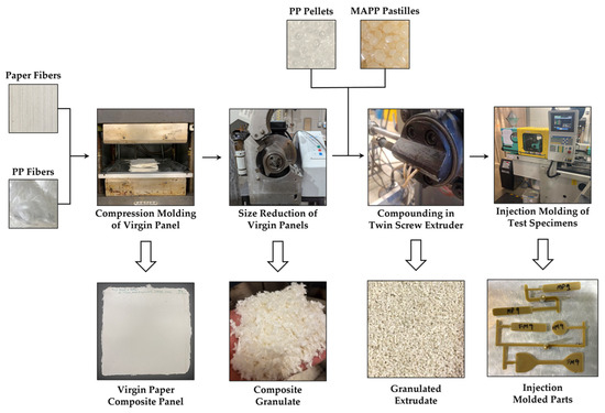 Development of an Automotive-Relevant Recycling Process for Paper Fiber ...