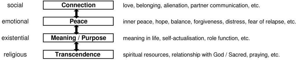 Spiritual Needs of Patients with Chronic Diseases