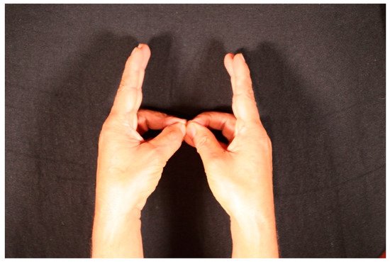 Religions | Free Full-Text | Language of Gestures: Mudrā, Mirror, and ...