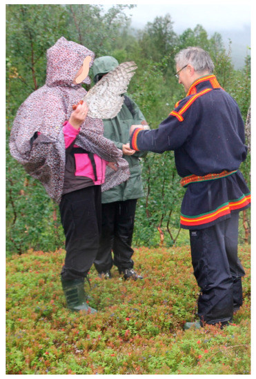 Animals in Saami Shamanism: Power Animals, Symbols of Art, and Offerings