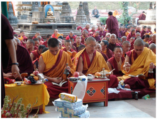 Buddhist Pilgrimage and the Ritual Ecology of Sacred Sites in the Indo ...