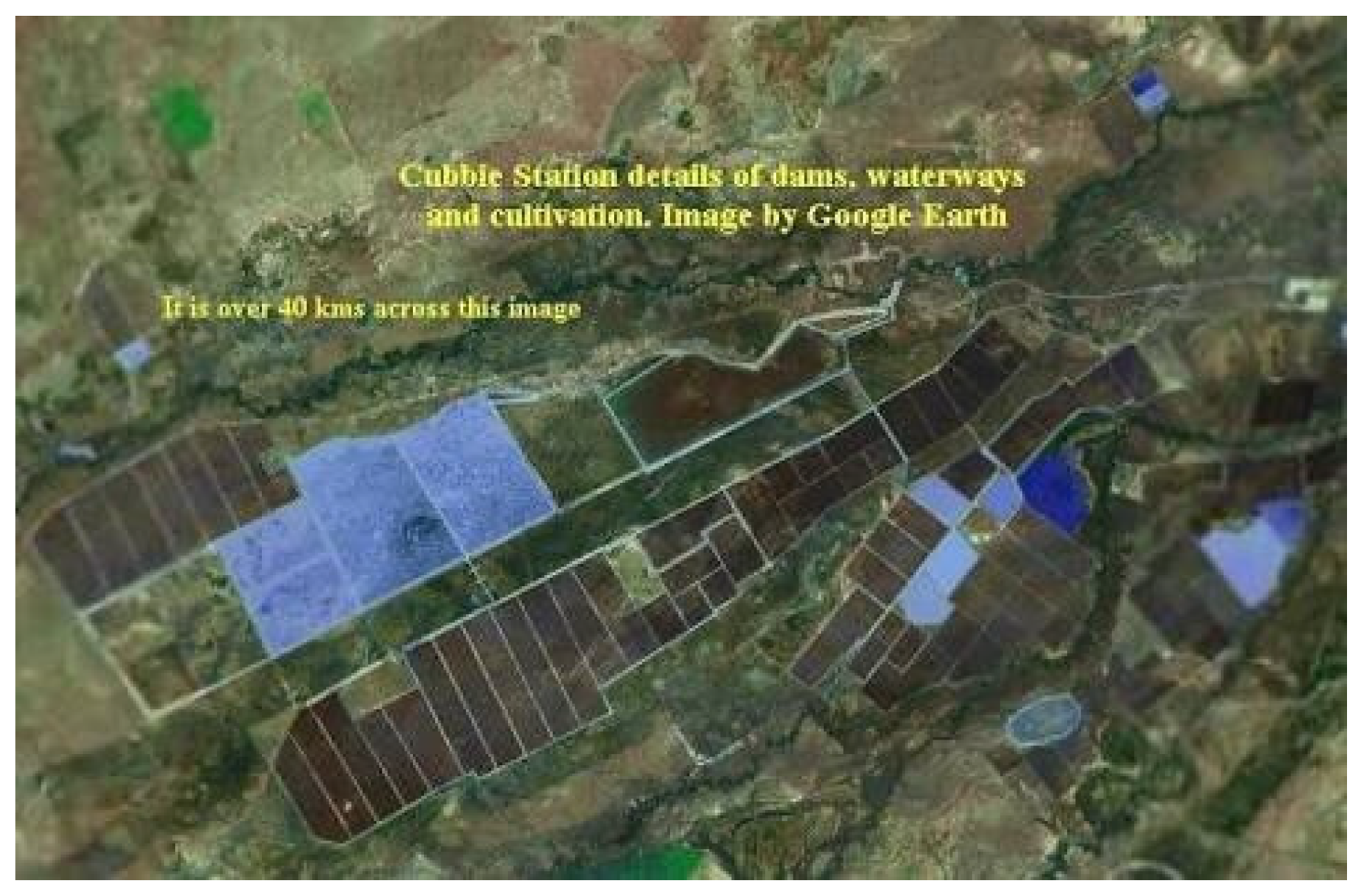 Religions | Free Full-Text | Gender and Pan-Species Democracy in the ...