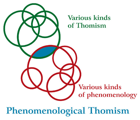 What Is Phenomenological Thomism? Its Principles and an Application ...