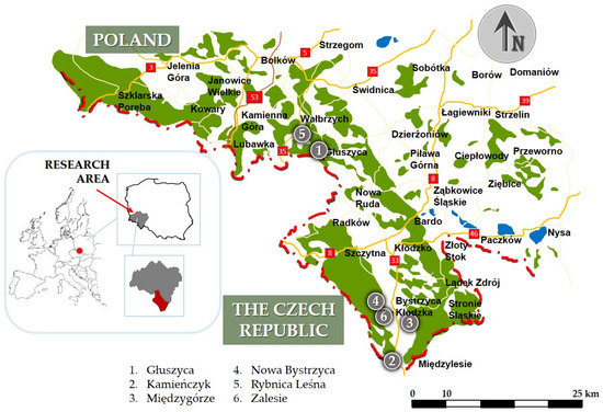 Fading Landscapes of Rural Cemeteries around Wooden Churches on the ...