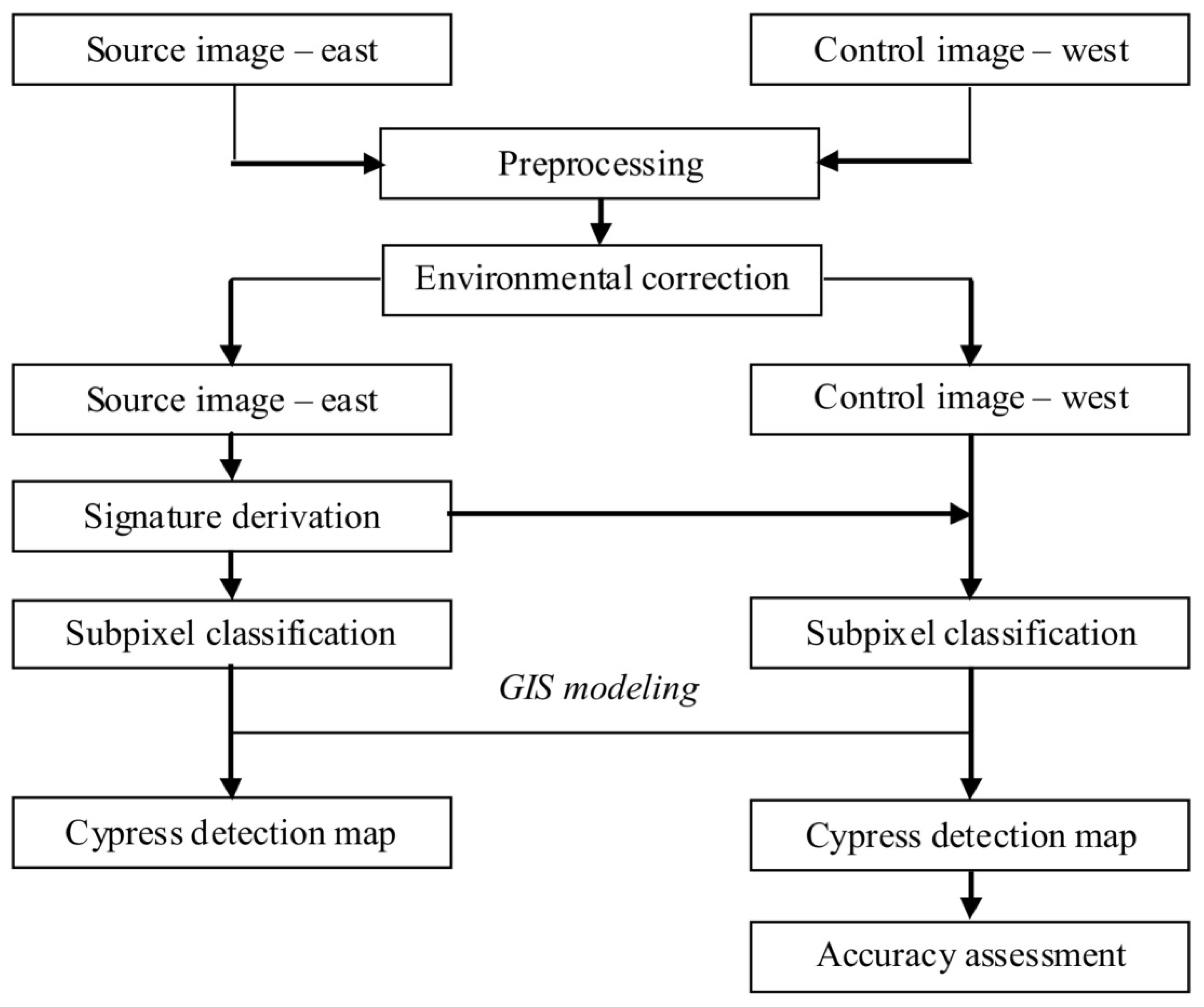 Remote Sensing | Free Full-Text | Detection of Cypress Canopies in the ...