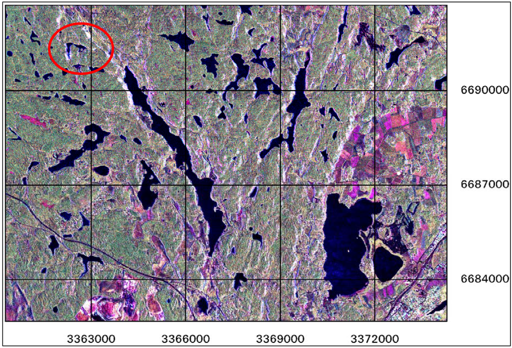 Remote Sensing Special Issue Microwave Remote Sensing