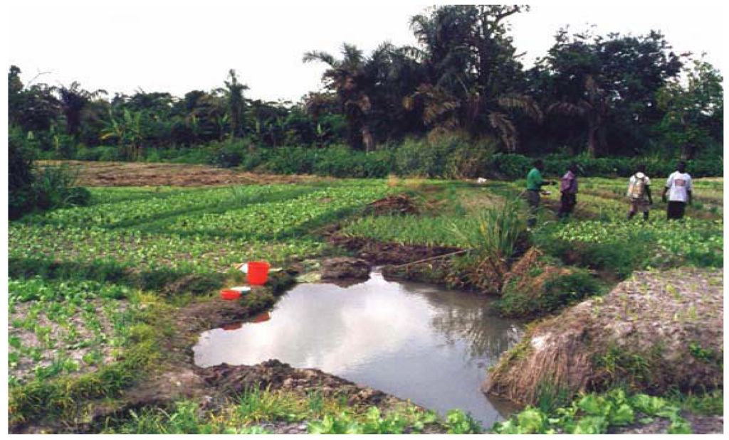 Urban and Peri-Urban Agriculture in Developing Countries Studied using ...