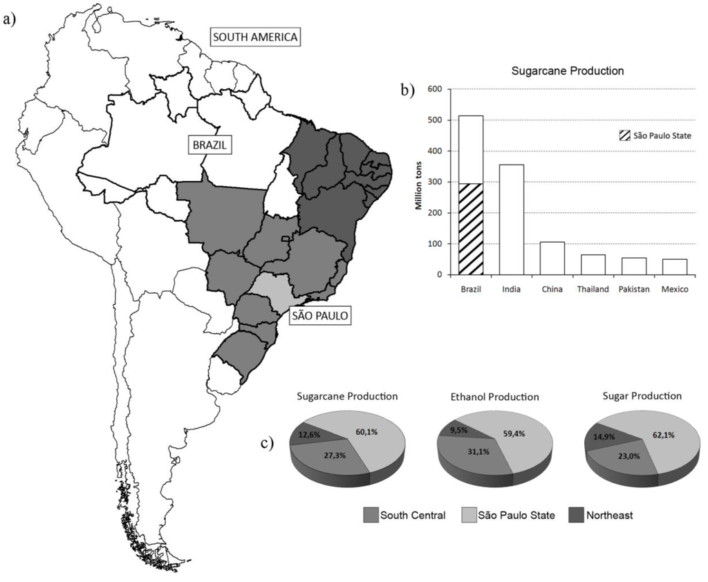 Studies on the Rapid Expansion of Sugarcane for Ethanol Production in ...