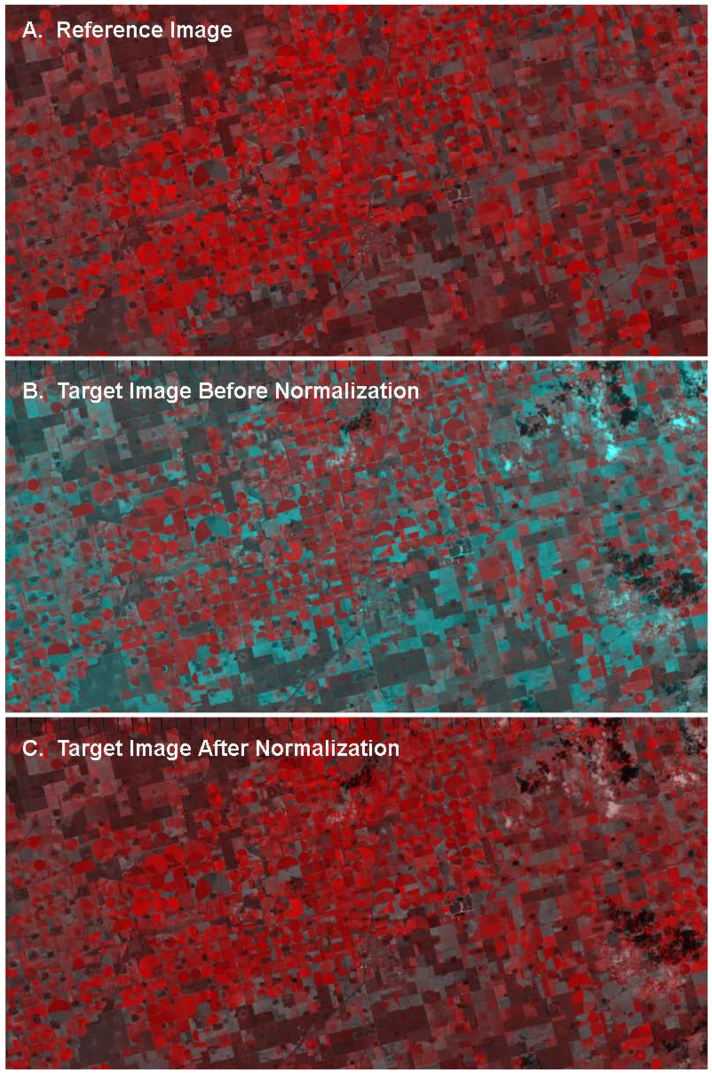 Normalizing and Converting Image DC Data Using Scatter Plot Matching