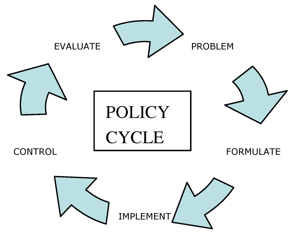 The Function of Remote Sensing in Support of Environmental Policy