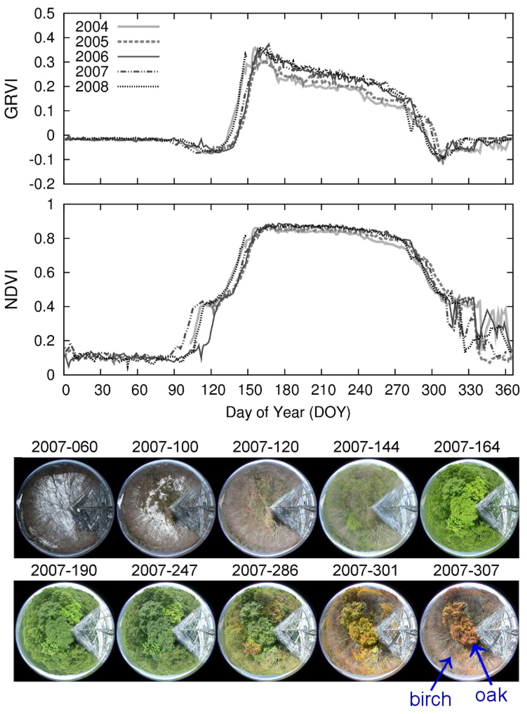 Applicability of Green-Red Vegetation Index for Remote Sensing of ...