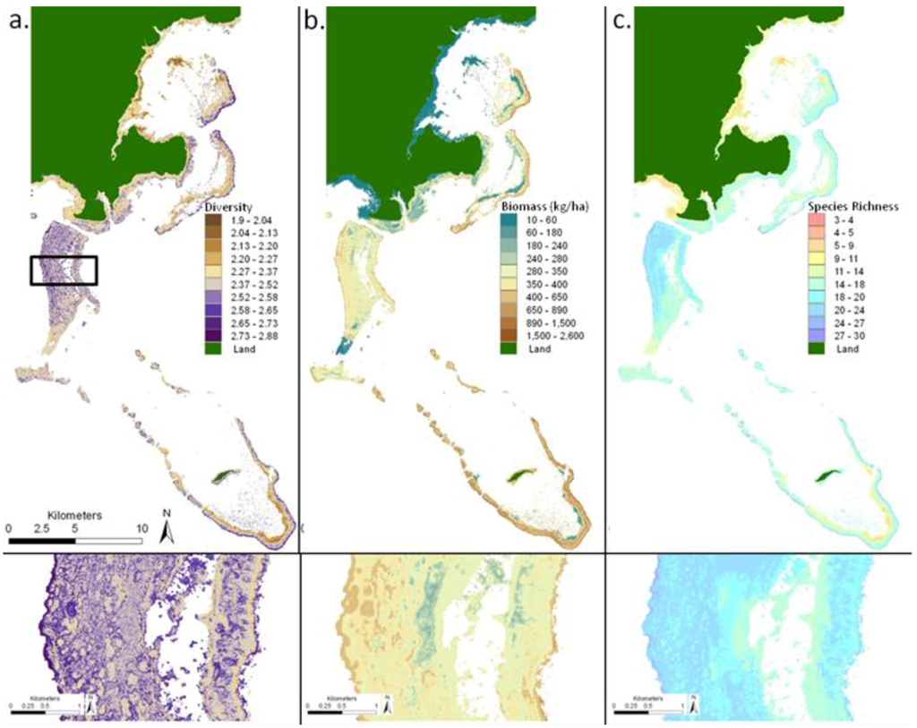 Remote Sensing Special Issue Remote Sensing In Coastal Ecosystem
