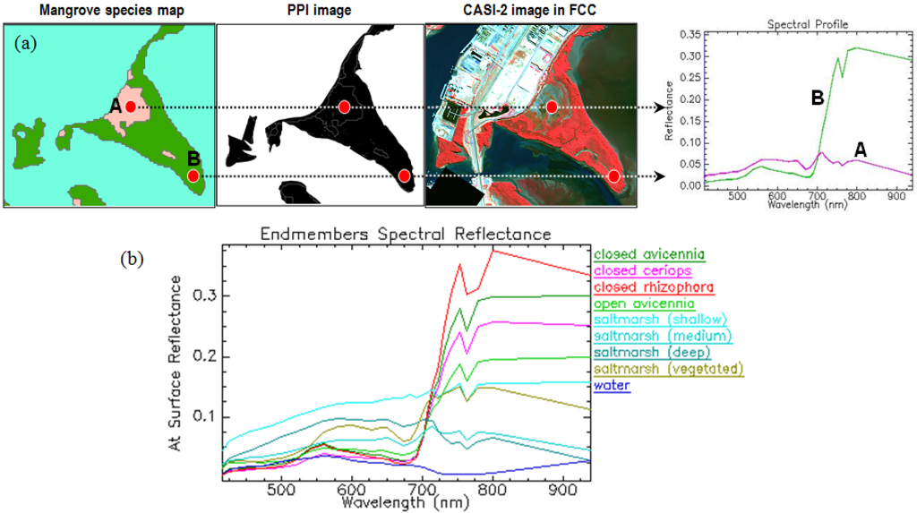 Remote Sensing Special Issue Hyperspectral Remote Sensing