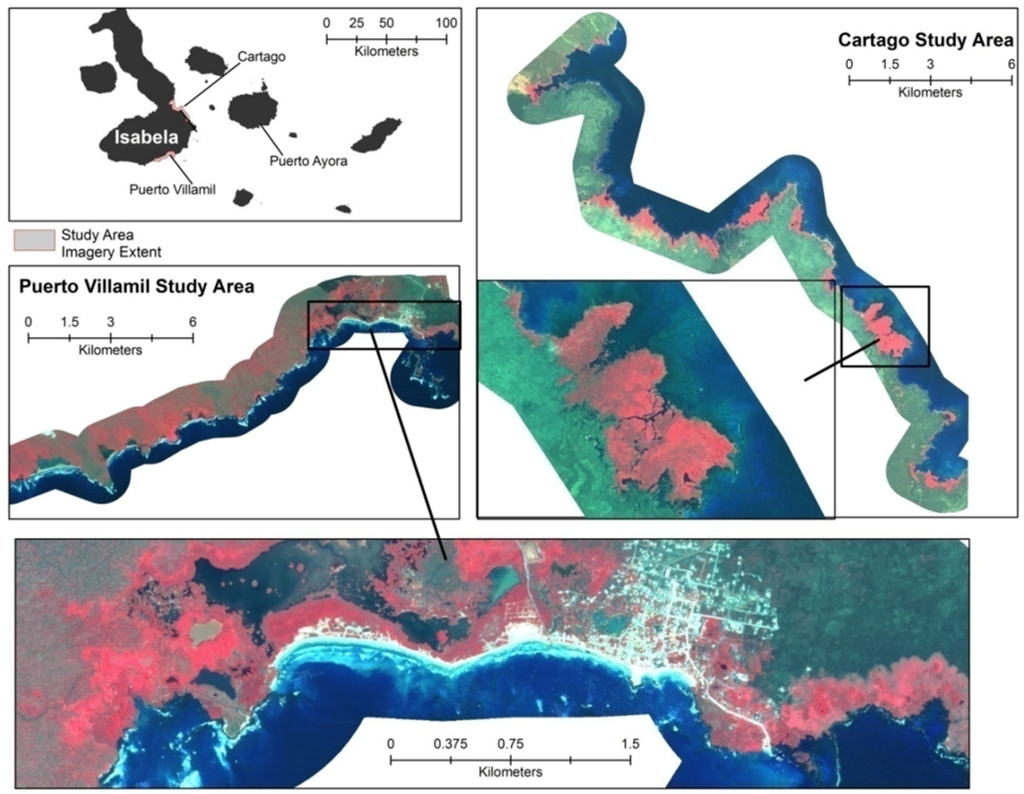 An Object-Based Classification of Mangroves Using a Hybrid Decision Tree—Support Vector Machine ...
