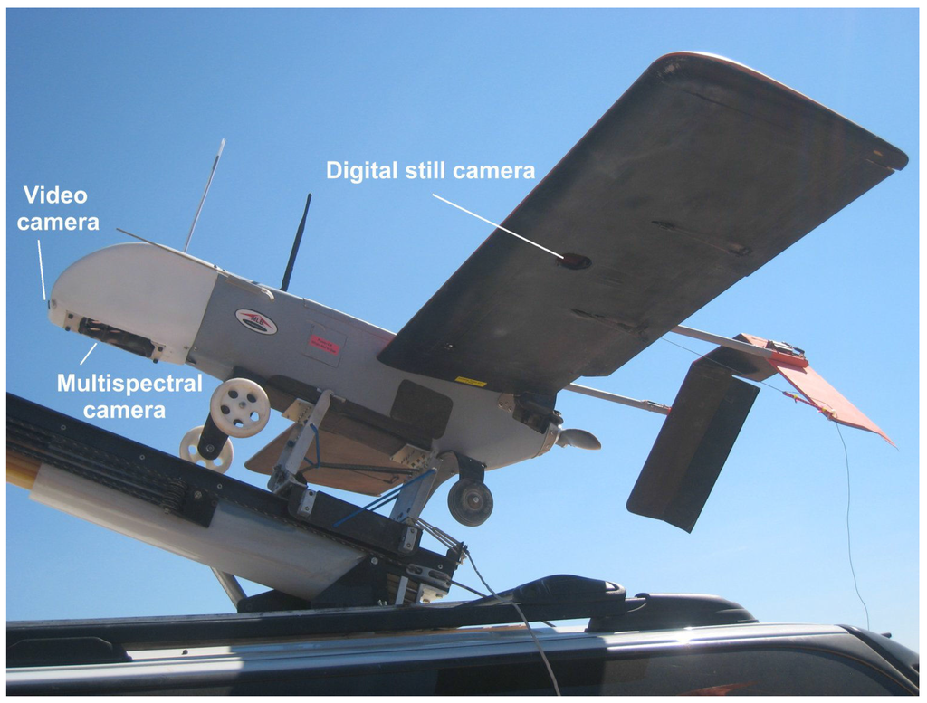 Remote Sensing | Special Issue : Unmanned Aerial Vehicles (UAVs) based Remote Sensing