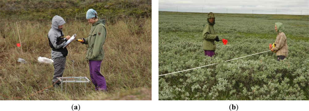 Dynamics of a Coupled System: Multi-Resolution Remote Sensing in ...