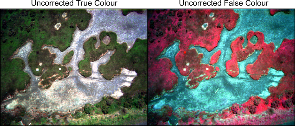 Remote Sensing | Free Full-Text | Sensor Correction of a 6-Band ...