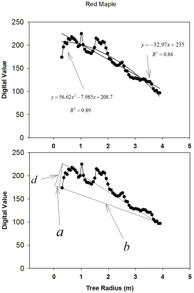 Remote Sensing | Free Full-Text | Individual Urban Tree Species ...